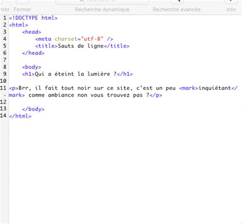 Affichage Du Css Par Mamika Page OpenClassrooms