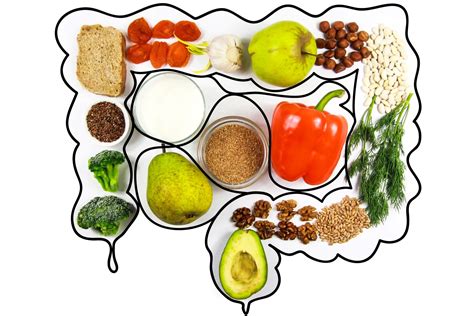 Ways to Support a Healthy Gut — Healthy For Life Meals | Fresh ...