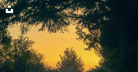 나무와 풀의 실루엣 사진 Unsplash의 무료 길 이미지