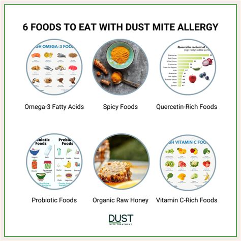Top 6 Foods To Eat With Dust Mite Allergy Idustmite
