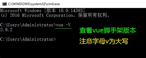 windows下npm安装vue 最详细的安装步骤带截图） csdn博客