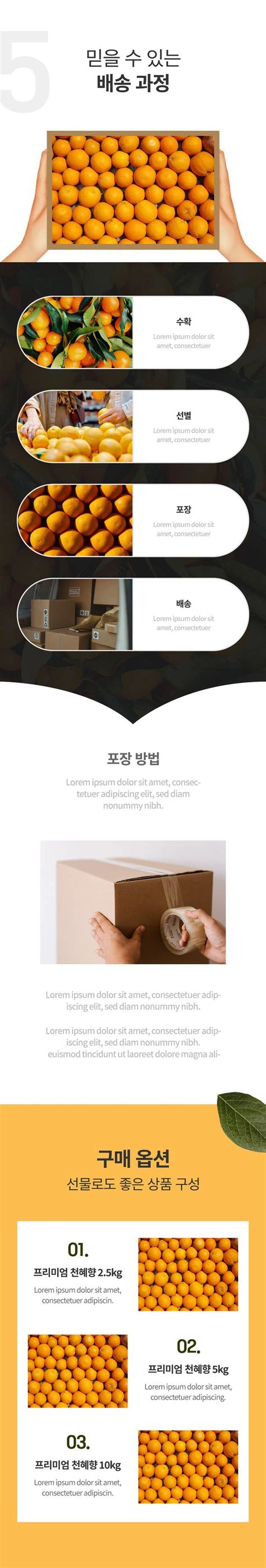과일 상세페이지 웹디자인 웹사이트 레이아웃 웹 디자인 레이아웃