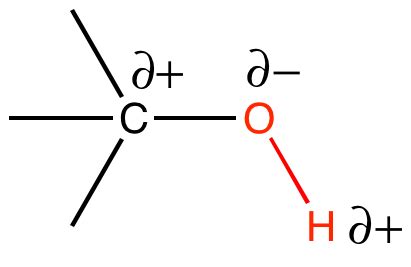 Hydroxyl Group