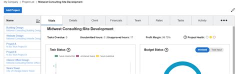Adding And Removing Tabs From Your Project Dashboard Bigtime Software