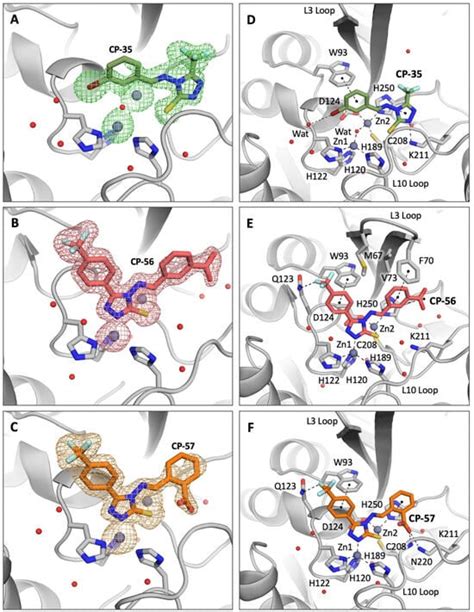 Structure Based Optimization Of 124 Triazole 3 Thione Derivatives Improving Inhibition Of Ndm