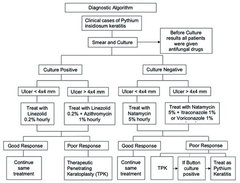 Diagnostic Algorithm For Pythium Keratitis Download Scientific Diagram Diagnostic Algorithm For Pythium Keratitis Download Scientific Diagram