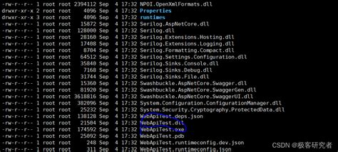 将 Core程序部署到linux服务器上1asp部署到linux Csdn博客