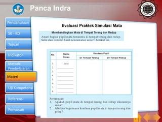 Materi ipa kelas 4 semester 1 panca indra | PPTX