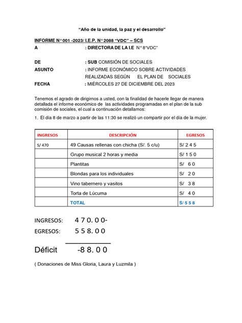 Modelo De Informe Economico De Comision Sociales Pdf