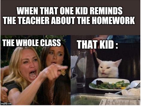 About Woman Yelling At A Cat Refers To A Meme Format