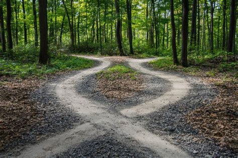 Forked Dirt Path In A Green Forest Under Bright Daylight Decision And