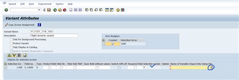 Creating A Dynamic Variant For A Report SAPCODES