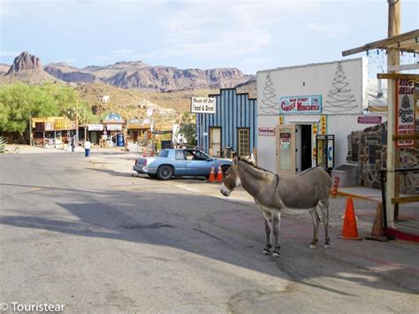 Oatman Az Route 66 Unique Ghost Town 2026