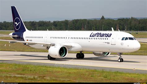 Photo Of Lufthansa Airbus A321 Neo D Aiea By David James Clelford
