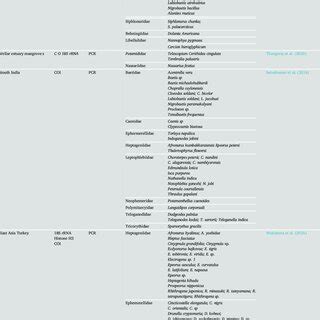 Procedure For SEM Sample Preparation Download Scientific Diagram