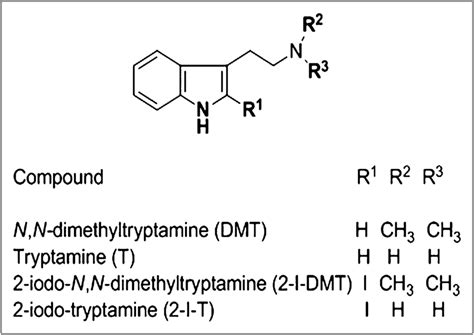Dimethyltryptamine Structure Dmt Drug Addiction What To Know