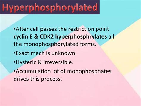 Retinoblastoma Protein And Gene Pptx