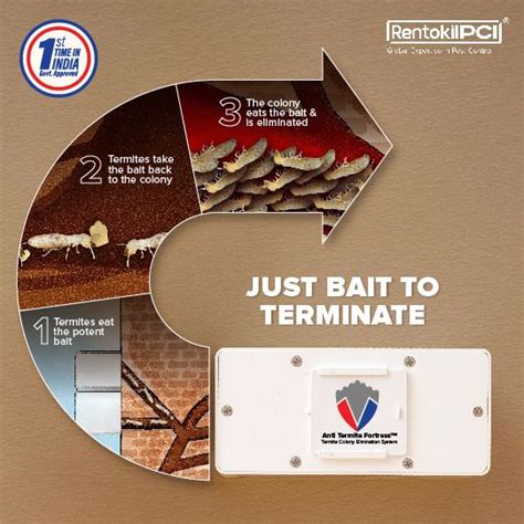 Rentokil Pcis Anti Termite Fortress Termites Termite Pest Control