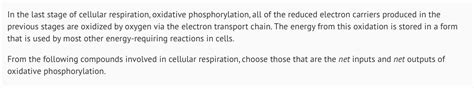 Solved Net Input Into Oxidative Phosphorylation Neither Chegg Com