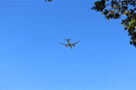 Tui B787 Pixie Dust Wing Flex Lgw Cun 221017 By Thehappynumpty On