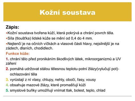 Ppt Kožní Soustava Powerpoint Presentation Free Download Id4731722
