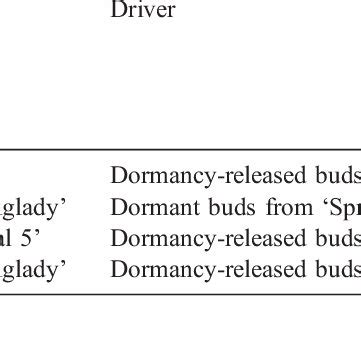 SSH Libraries Elaborated In This Work Download Table