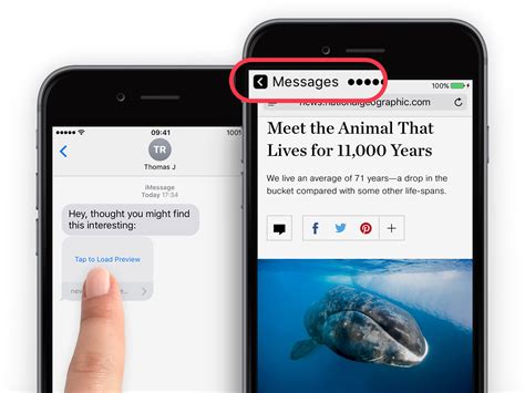 Top IOS IMessage Message Not Working Issues And How To Fix Them