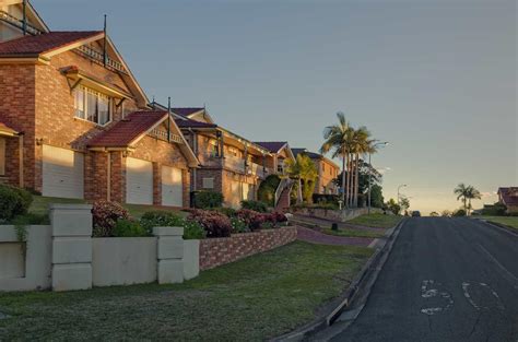 White Ants Australia Everything You Need To Know