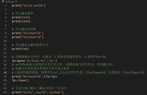 输出函数print Csdn博客