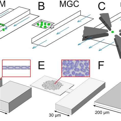 Investigated Microfluidic Trapping And Cultivation Devices A Mother