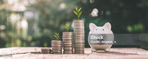 비즈니스 금융 및 저축 돈 투자 돈 동전 스택 돼지 저금통 저축 개념으로 그래프 성장 동전에서 자라는 식물 저축과 투자의 균형을 맞춥니다 은행업무에 대한 스톡 사진 및 기타