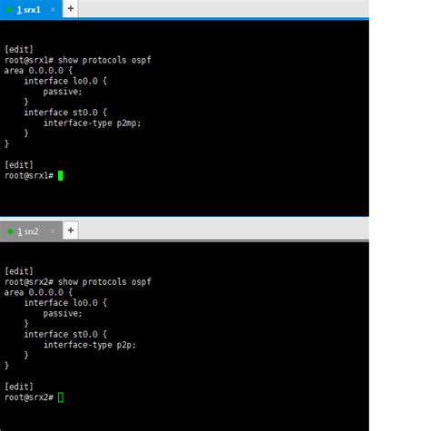 Bgp And Ospf Over Ipsec Vpn Life As A Network Engineer Rakesh