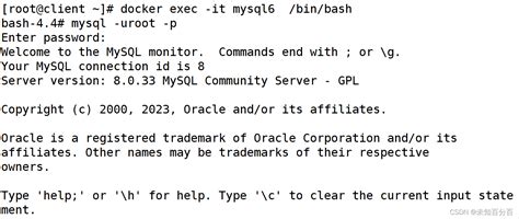 Mysql入门必备：linux中部署mysql环境的四种方式详解linux部署mysql Csdn博客