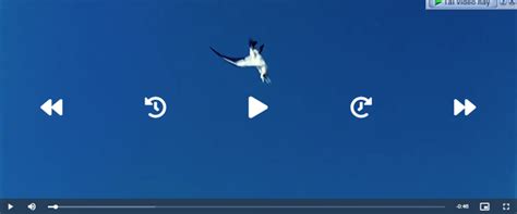 Npm Videojs Overlay Buttons Skypack