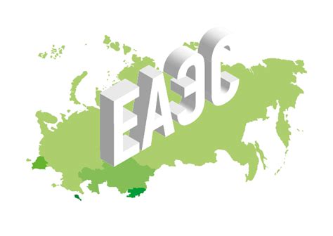 ЕАЭС и пошлины, METRO и текстильные отходы, Ozon и дети, таможня и ...