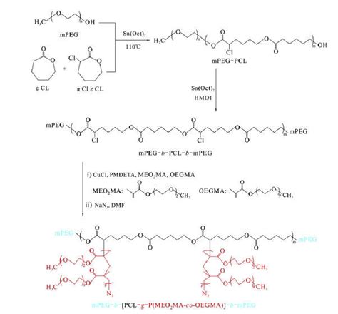 Synthesis scheme of PEG-b-[PCL-g-P(MEO2MA-co-OEGMA)]-b-PEG (tBG2)... | Download Scientific Diagram