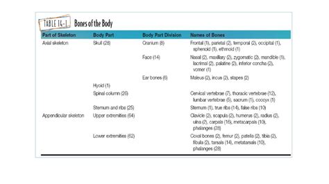 Skeletal System Skeletal System Learning Objectives Define Terms
