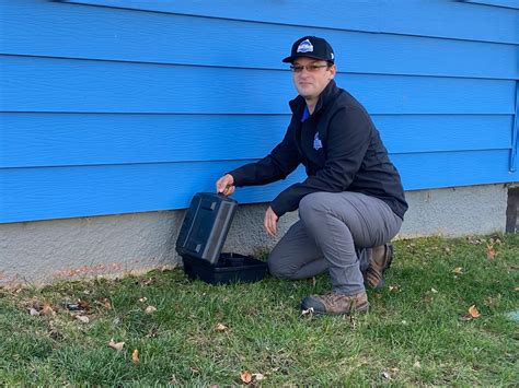 Mouse Extermination And Rodent Exclusion Princeton Junction Nj 08550