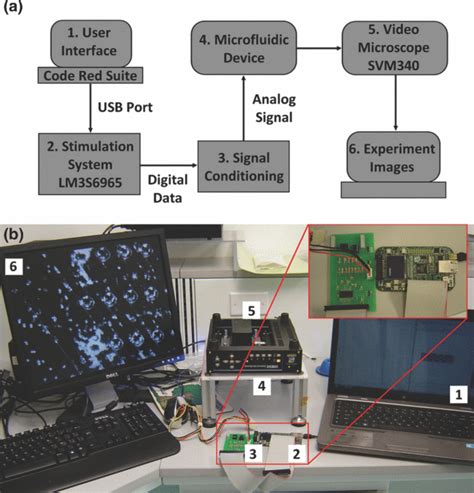 An Electric Stimulation System For Electrokinetic Particle Manipulation In Microfluidic Devices