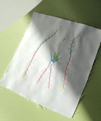 5 Surprising Facts About Vaginas From The Gynae Geek Dr Dick S Sex Advice