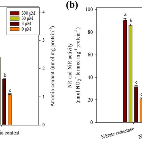 A Nitrogen Containing Components B Activities Of Nitrate Reductase Download Scientific