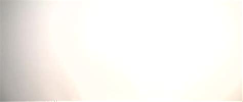 Dead Hairy Wolf Pussy