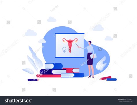 Sex Education Female Reproductive System Biology เวกเตอรสตอก ปลอดคาลขสทธ