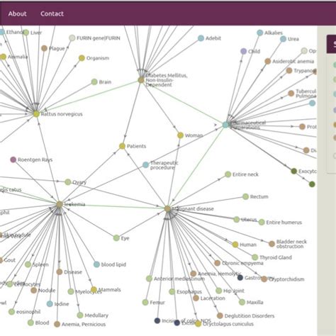 A Screenshot From Biomed Xplorer Ui And Its Graph Based Visualization Download Scientific