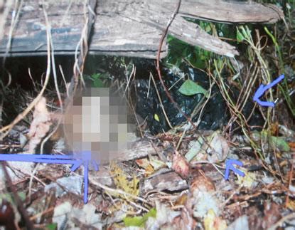 Photos Graphic Crime Scene Pictures Introduced Into Evidence