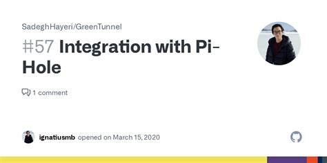Integration With Pi Hole Issue SadeghHayeri GreenTunnel GitHub