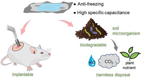 用于环境友好和生物相容性储能的可生物降解高性能微型超级电容器 Acs Nano X Mol