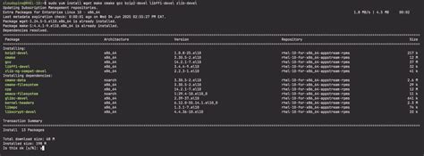 how to install python 3 13 on rhel 10 almalinux 10 cloudspinx