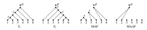 7 two rooted x trees t 1 and t 2 a maximum agreement forest of the