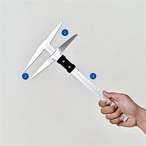 Types Of Caliper In Anthropometric Measurement Solo Abadi